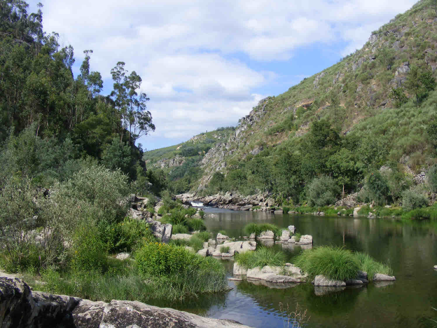 HELDER BARROS: Amarante - Vale a pena refletir sobre este artigo do Dr ...