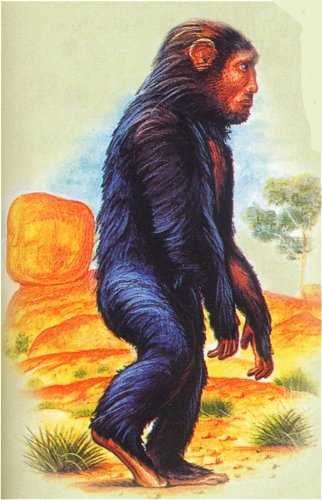 Yowie Photos | Monster Pictures