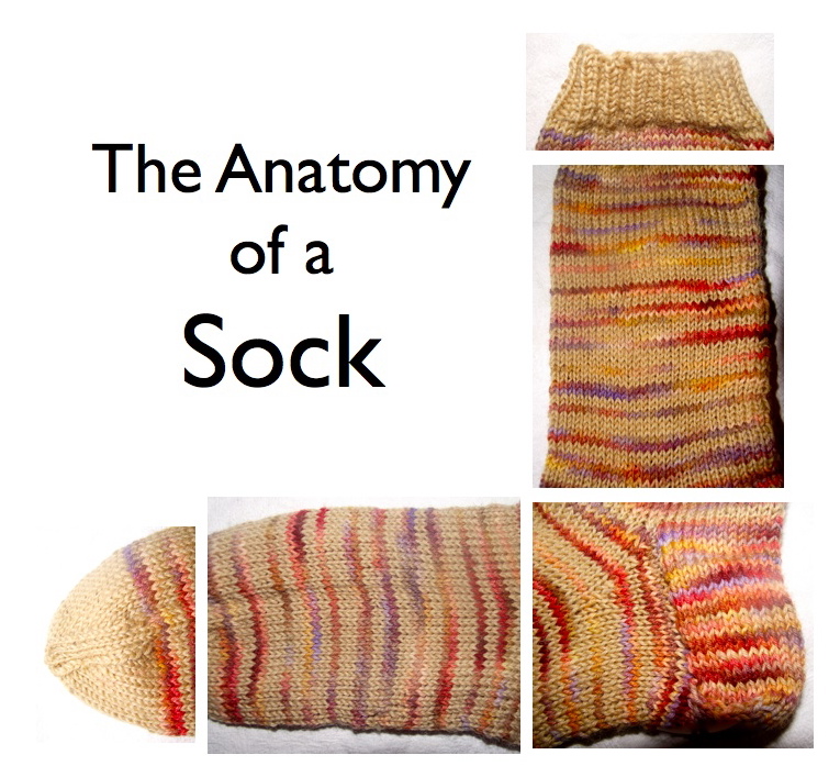 Sara vs. Sarah: Socks Education Part 2: The Anatomy of a Sock