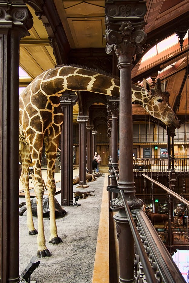 Happy Monday + Heads Up!