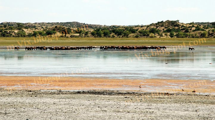 Altan ovoo, Shiliin bogd | Photo & Design