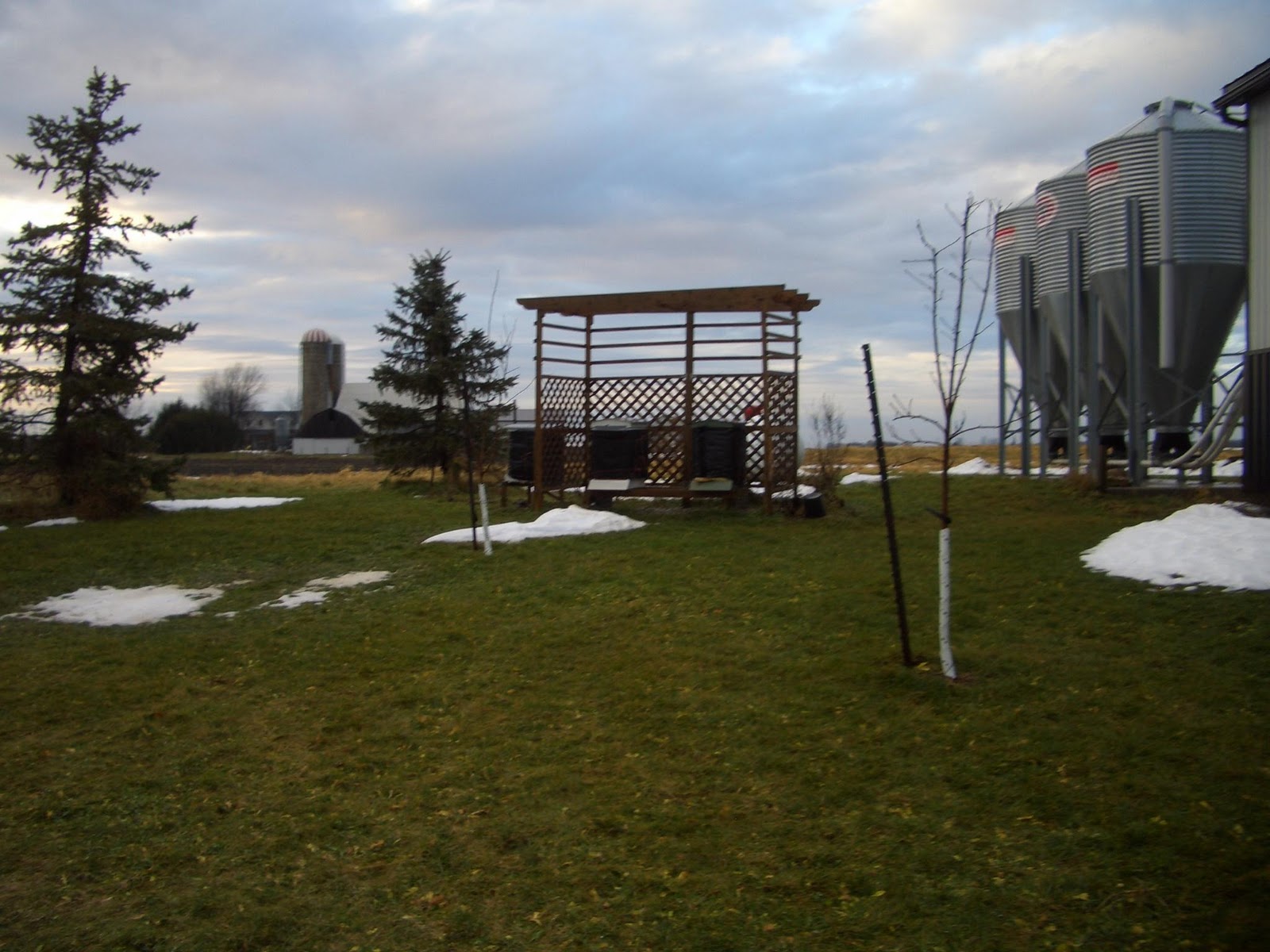 The Bee Cluster: Nosema: In the dead of winter