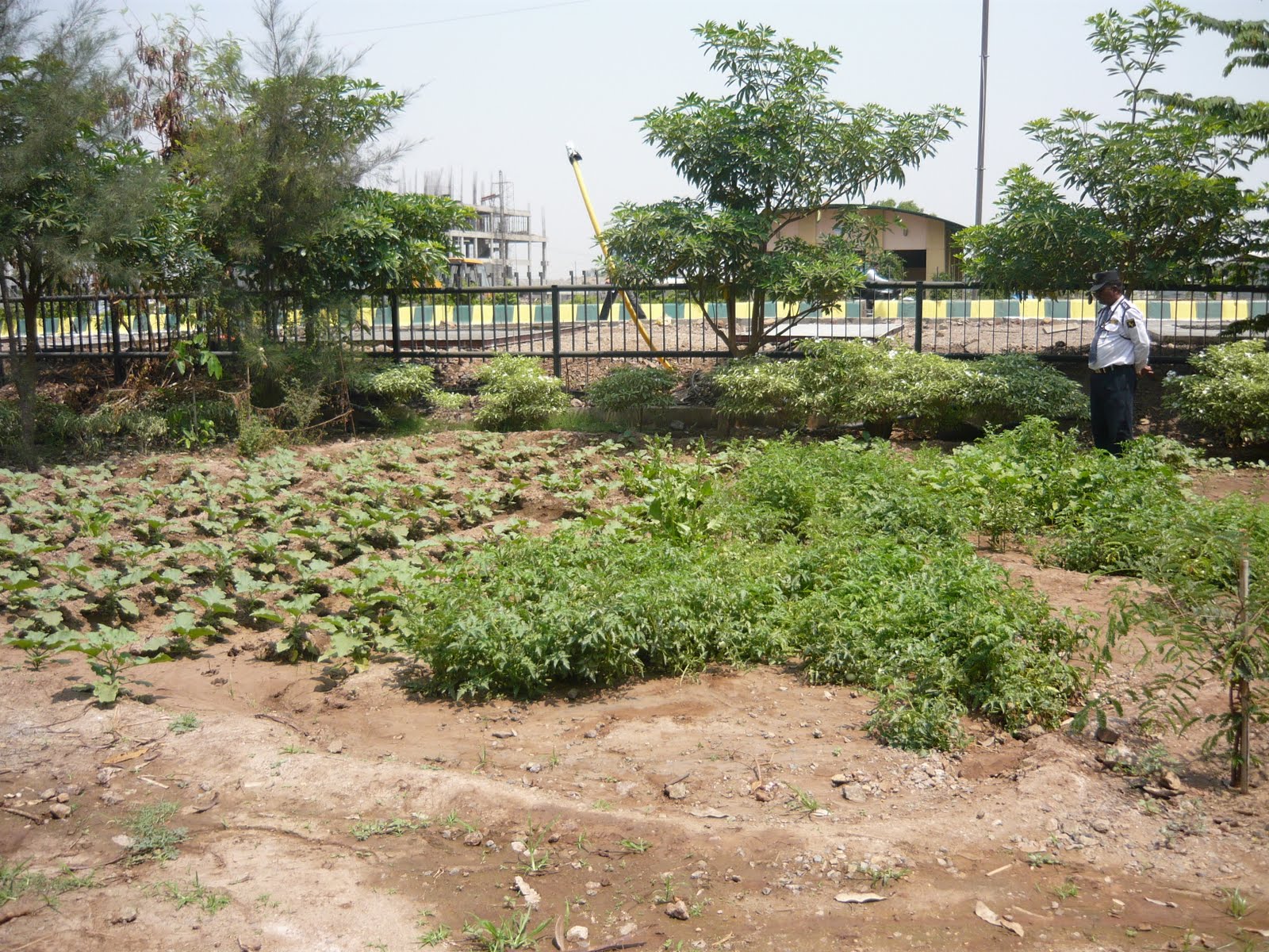 Miss Lane and Miss Chater's trip to India: Pawar Public School in Pune ...
