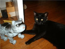 BENIFFER EDITIONS or BENNIFER EDITIONS depending