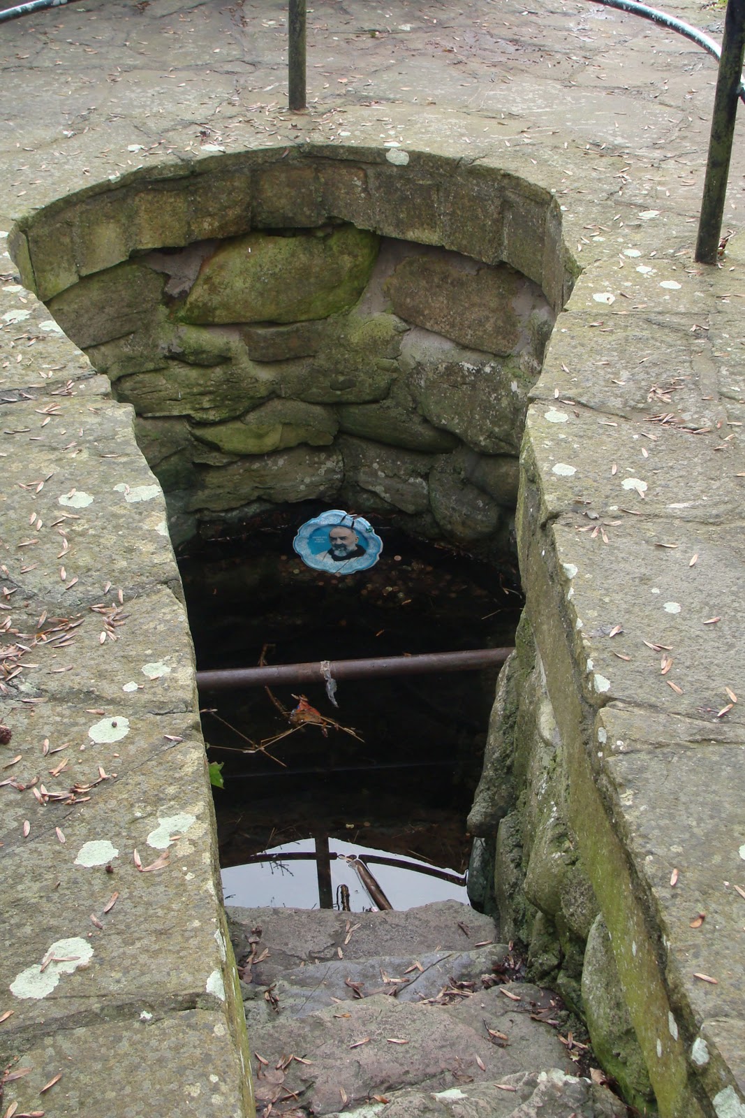 Fionns Travels: Visit to Leamonaghan, St Monaghan's Well and St ...