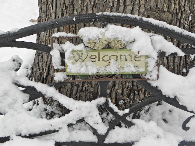 A Breath of Fresh Air: Baby it's cold outside...........