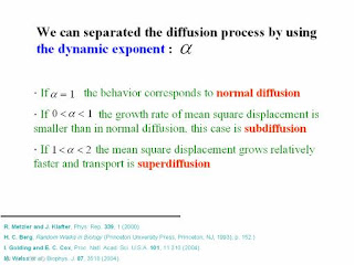 Image Processing & Science Applications: Mean Square Displacement