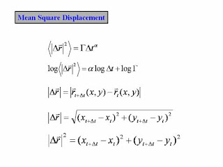 Image Processing & Science Applications: Mean Square Displacement