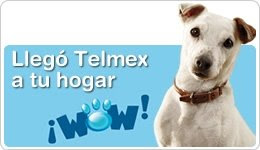 Isaac Alva: El internet y el perro de TELMEX