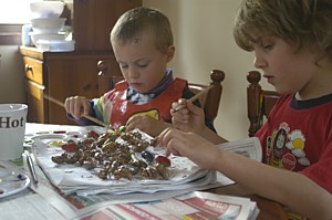 Upon A Hill: Cicada Shell Craft