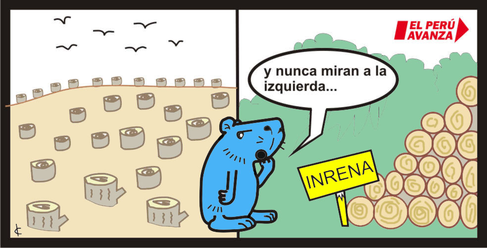 El Ronsoco Azul: El Perú Avanza II
