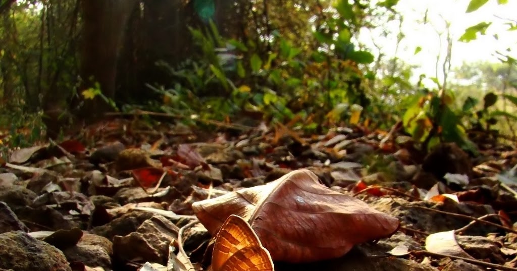 Revisiting Nagla Block