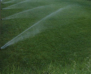 Amenajarea gradinii de langa casa in articole si imagini: Treaba cu ...