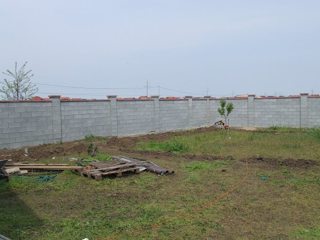 Amenajarea gradinii de langa casa in articole si imagini: Erbicidarea ...