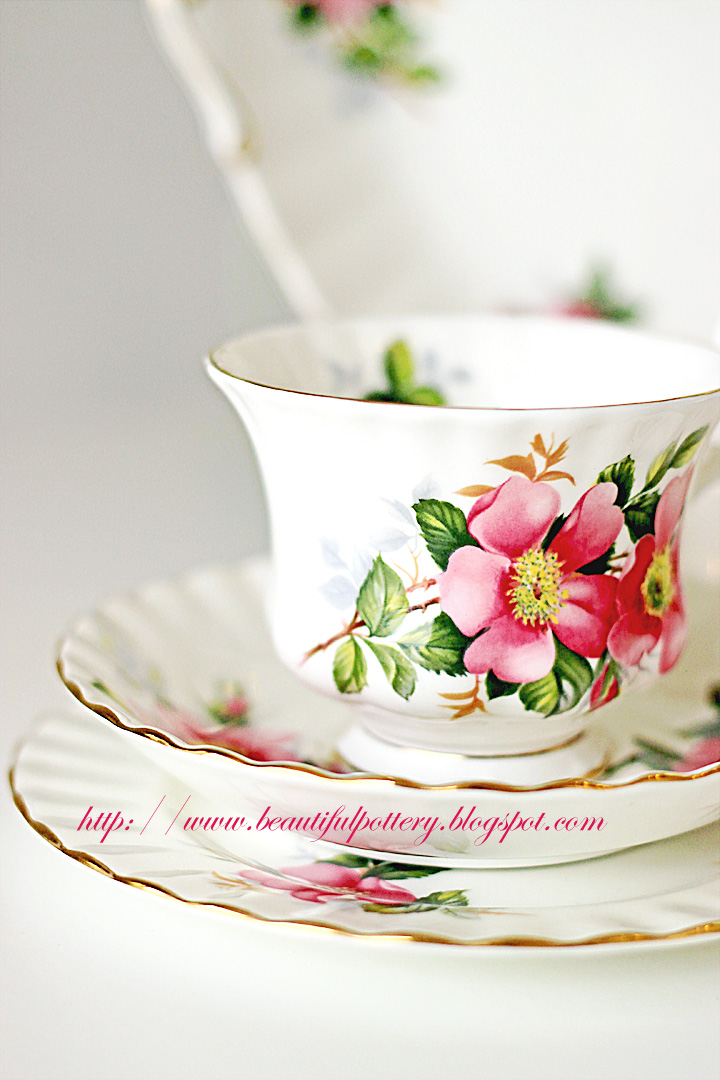 BEAUTIFUL POTTERY: Royal Albert Discontinued Pattern