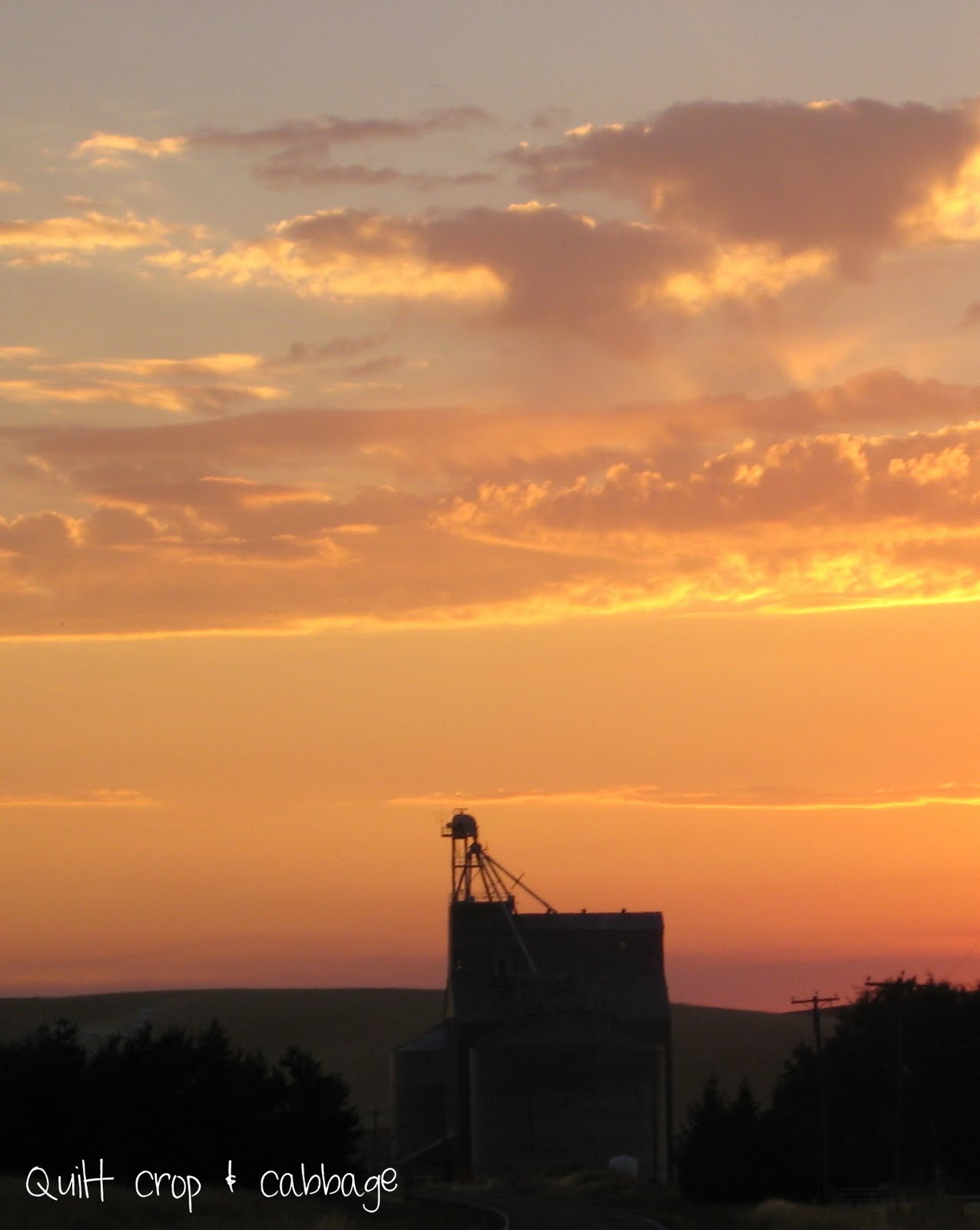 Quilt Crop & Cabbage: Rust Colored Sunset