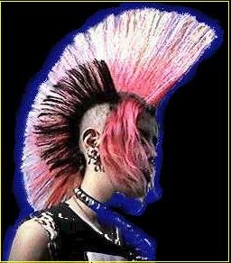 TRIBUS URBANAS: CULTURAPUNKS/ PUNKETOS / PUNKIES