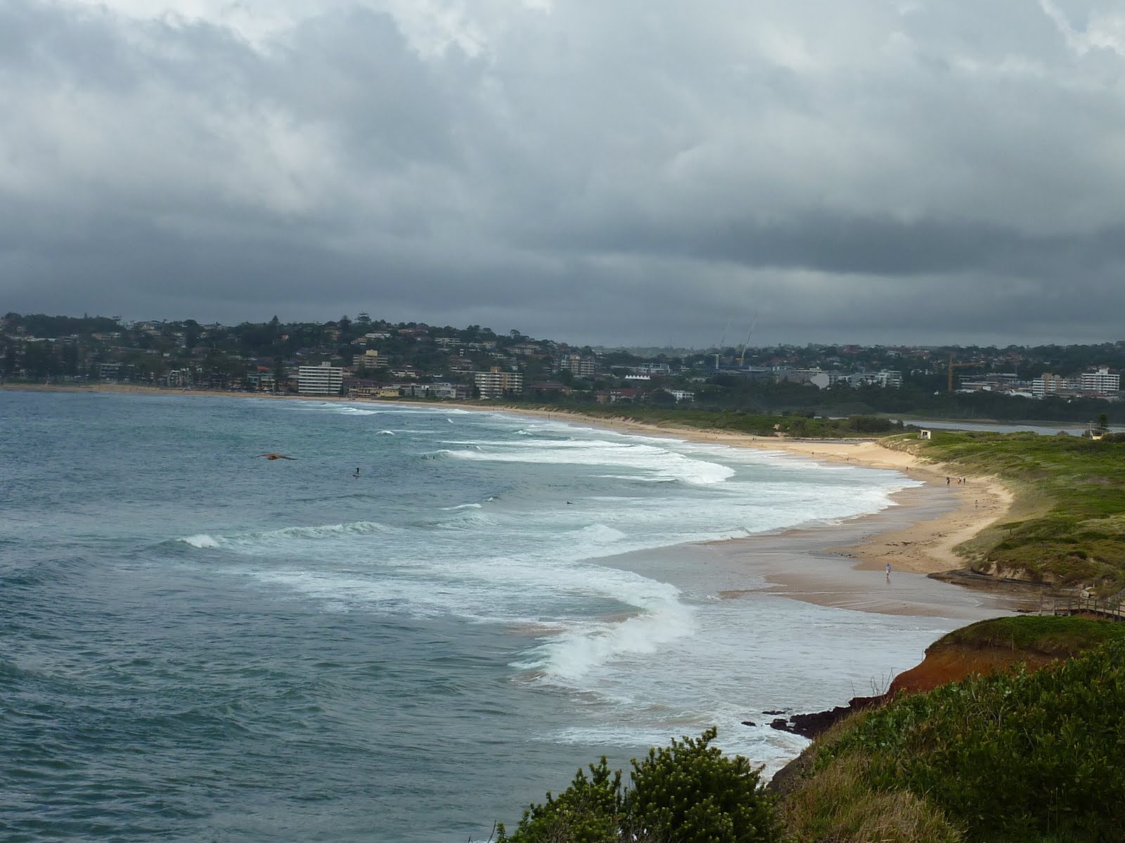 AUSTRALIA: Sydney Dee Why - Long Reef