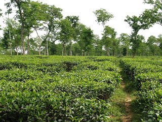 Bangladesh Barta: Some photos