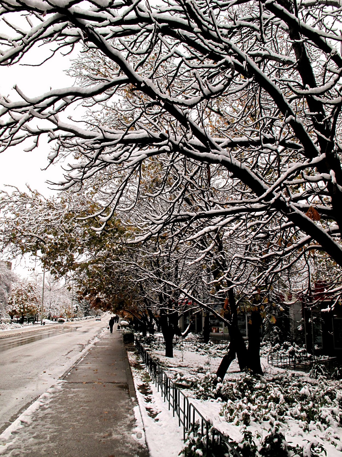 Synesthesia Photography Blog: snow in ankara | a short-lasting dream.