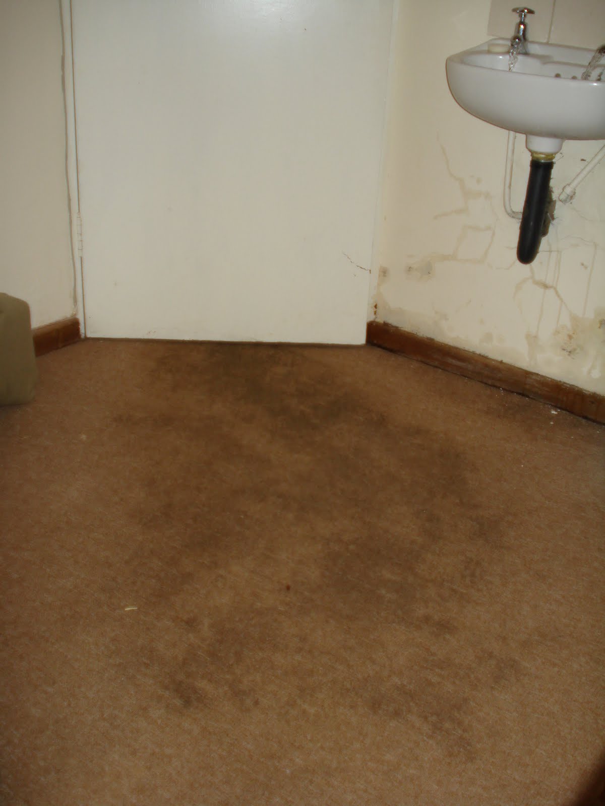 Room Exploding... | Jo & Adam 'n S. Africa