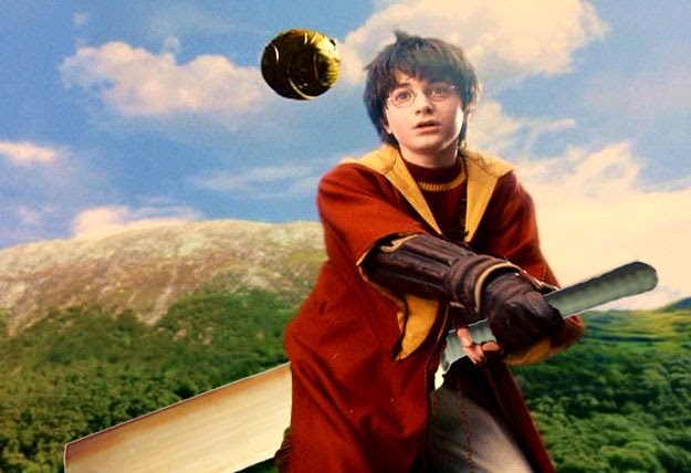 Bored Cricket Crazy Indians (BCC!) - play with cricket: Had Harry ...