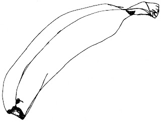 Studio Foundation Spring 2009: Banana Slow Contour Drawing 1