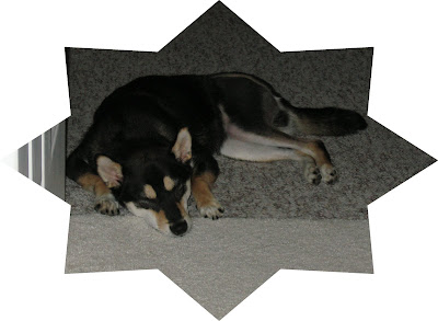 Guinness' Surgery and Recovery