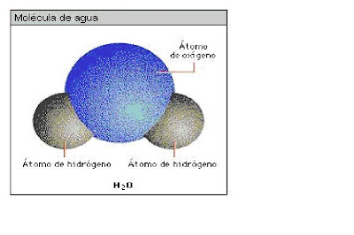 ¿Por que aprender Bioquímica?: AGUA