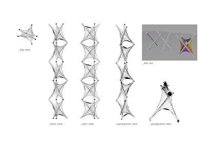 Tensegrity Tower, Tencellity Tower: The PROCESS of designing