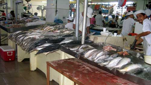 Panama Times & Costa Rica Times: Panama Fish Market