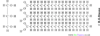 LIPIDs