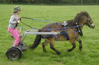 Saddlechariot.: Chariot Pics