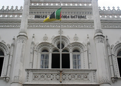 Pelo leste do sul de África: O Museu de História Natural no Maputo