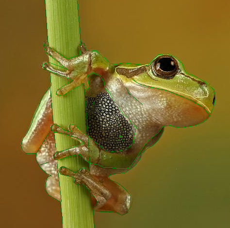 IMAJENES DE SAPITOS - Imagui