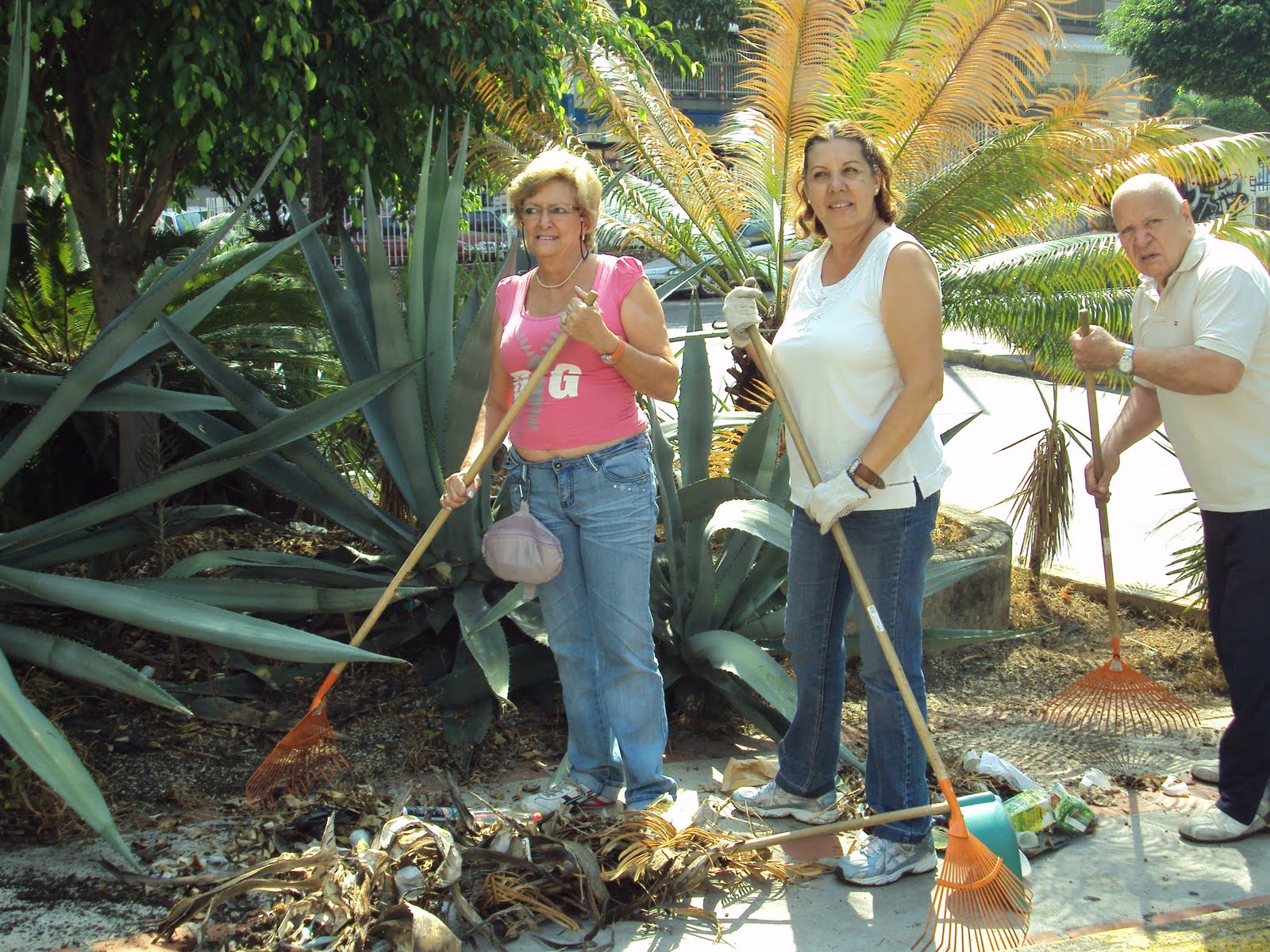 Infraestructura Consejo Comunal TEPUCHAMOY: JORNADAS DE LIMPIEZA VECINAL