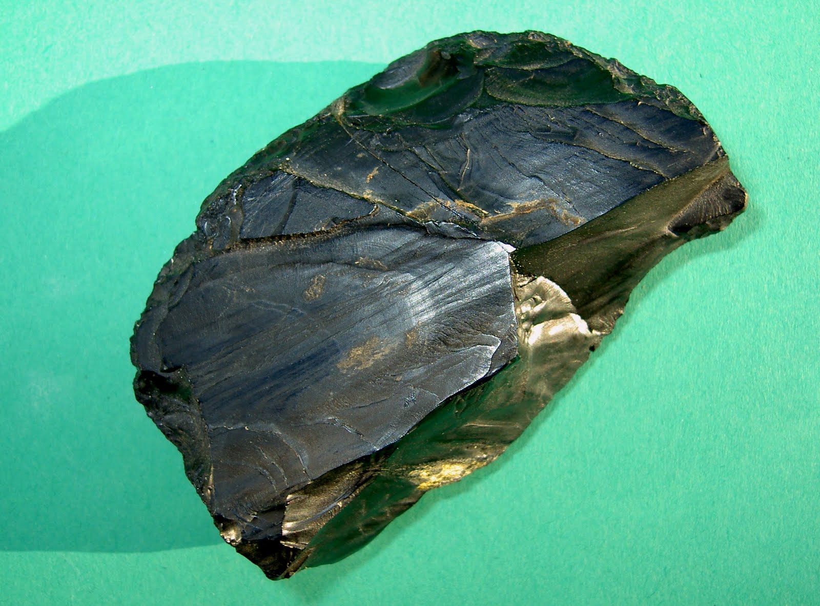 De Belezen Kater: The Story Of Whitby Jet