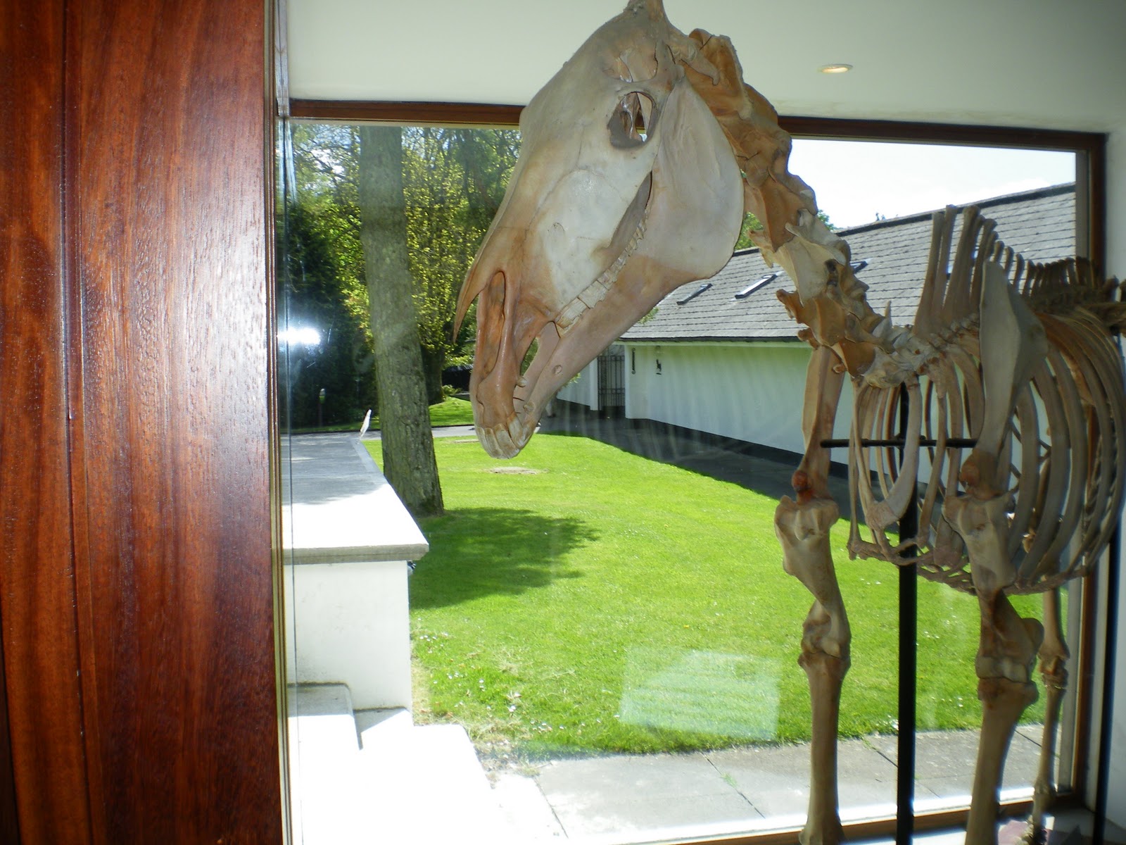 Murphys Irish Law: National Stud Farm, Rock of Cashel and Cork