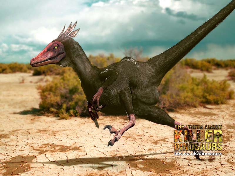Dinossauros: Velociraptor