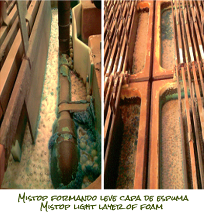 Mineria y Medio ambiente / Mining and Enviroment: Mistop, inhibidor de ...