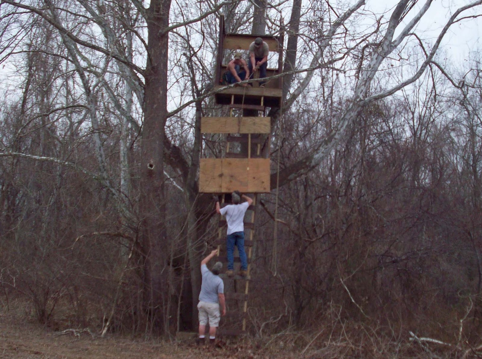 Whackfactor Outdoors: Really Big deer stands