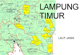 Business Map: Kabupaten Lampung Timur