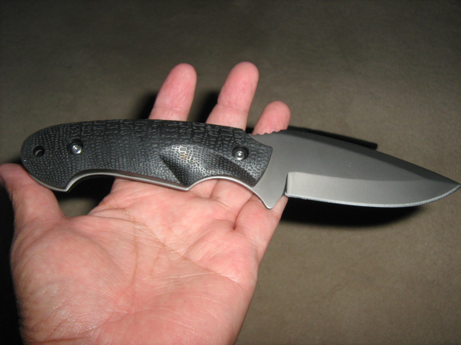 Pinoy Bushwhacker: Gerber Profile Fixed Blade