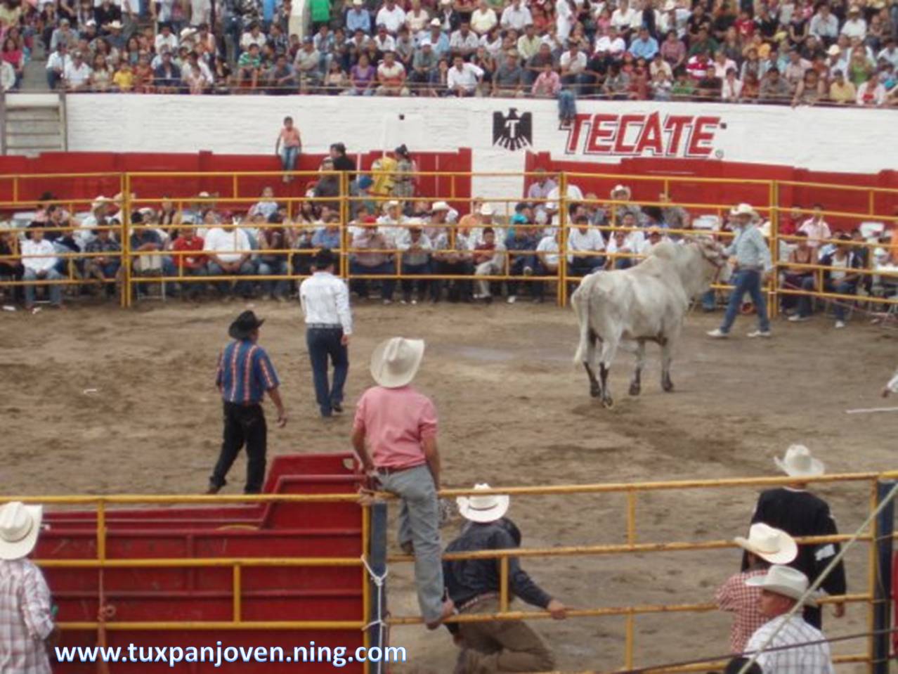 FERIA TUXPAN 2019: JARIPEO TORO EL CATRIN FERIA TUXPAN 2010 - 16 DE ...