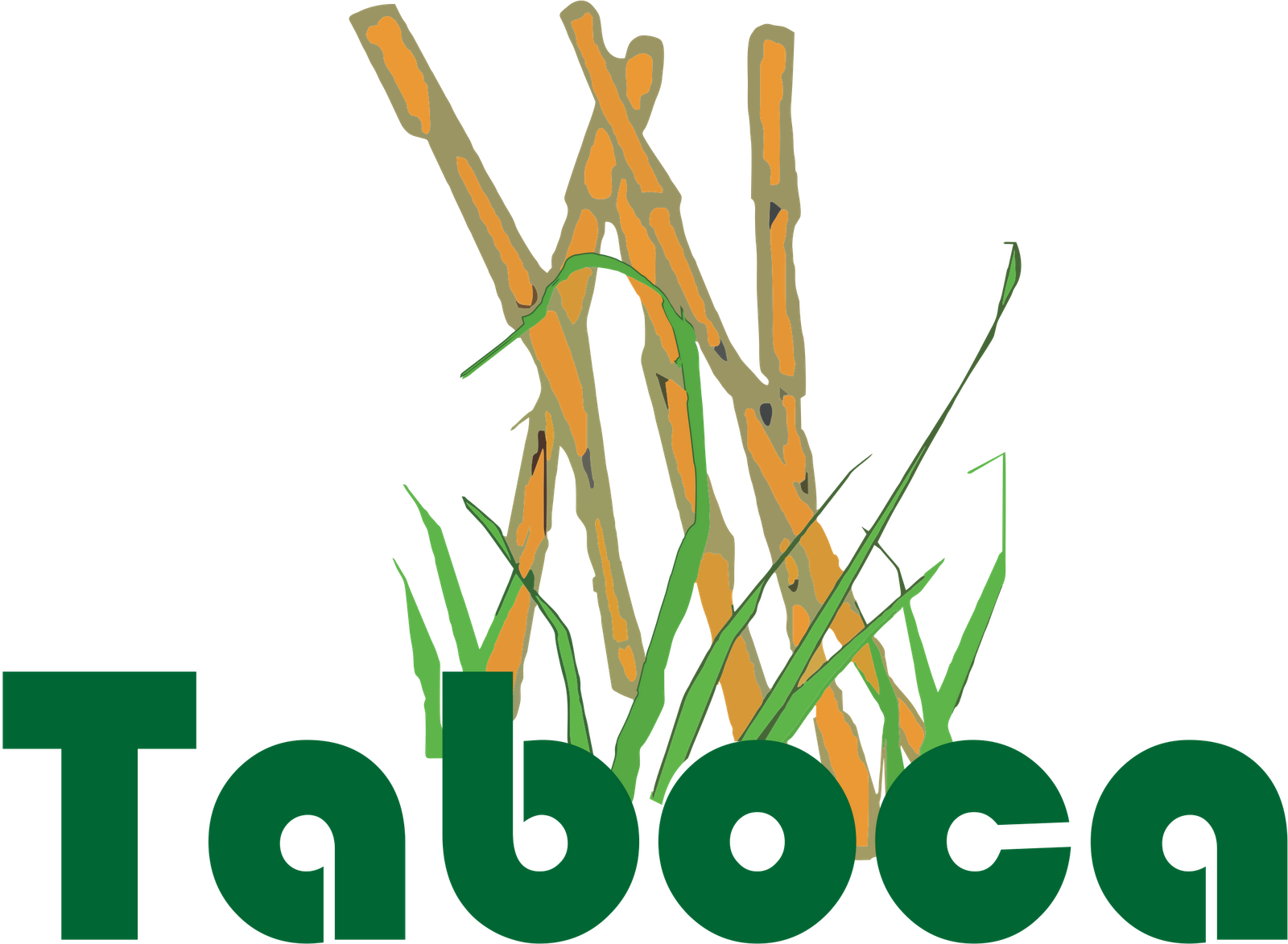 TABOCA FILMES : Nova Logo da Taboca