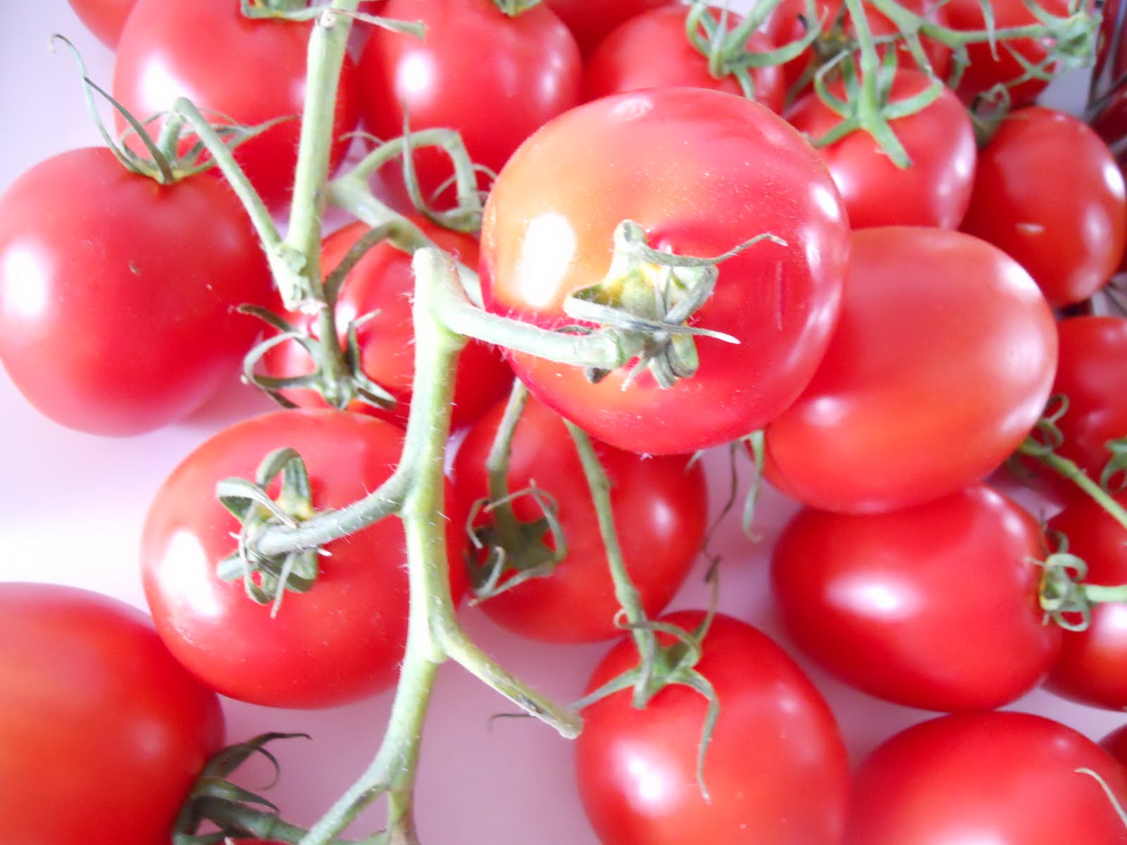 Geschmacksache: Tomaten, Tomatos, Tomatl, Tomatoes, Paradeiser ...