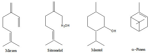 kimia: Struktur terpenoid dan steroid