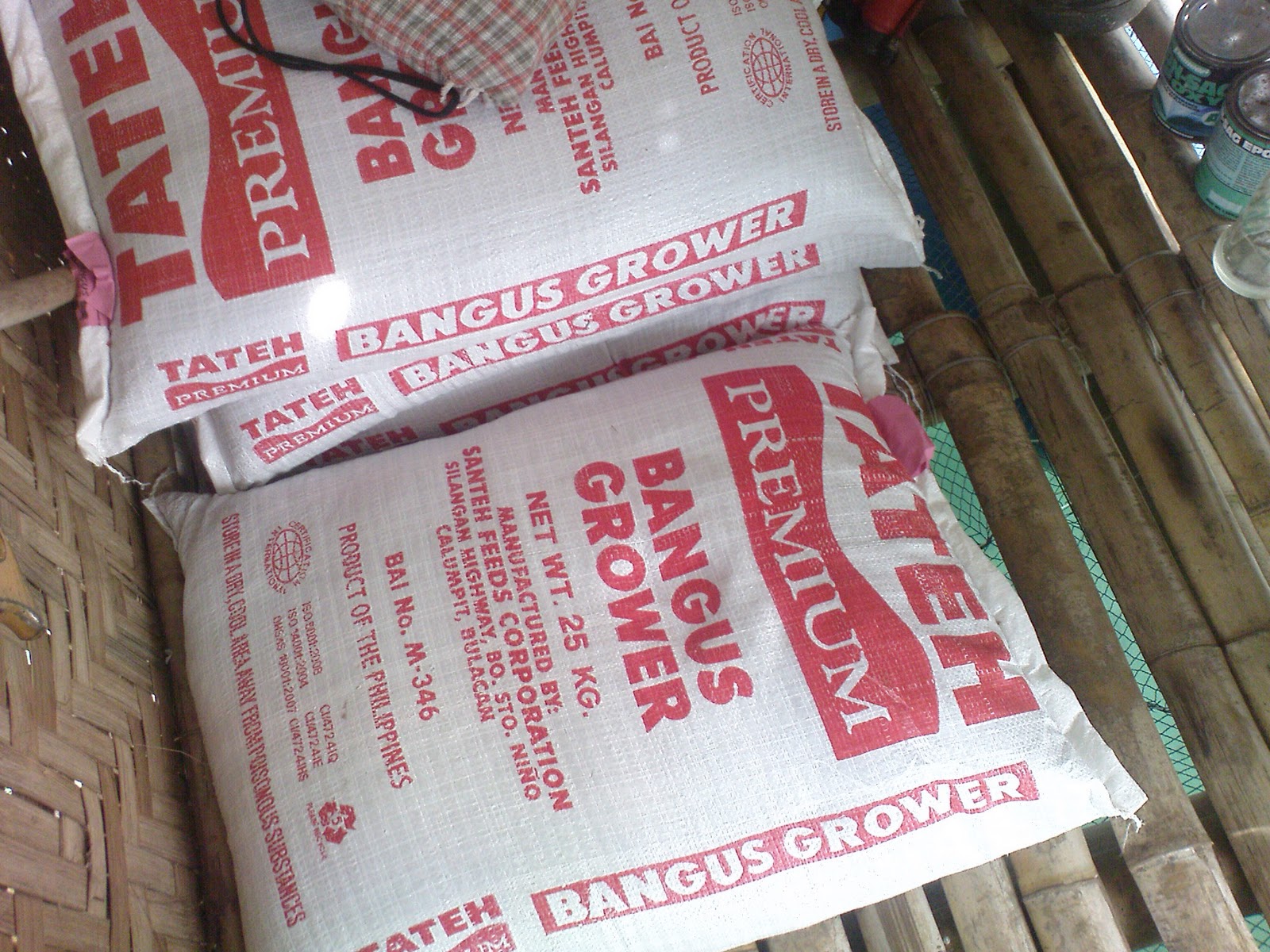 Bangus Farming - Feeds and Its Effect on the Pocket | Bangus Farming ...
