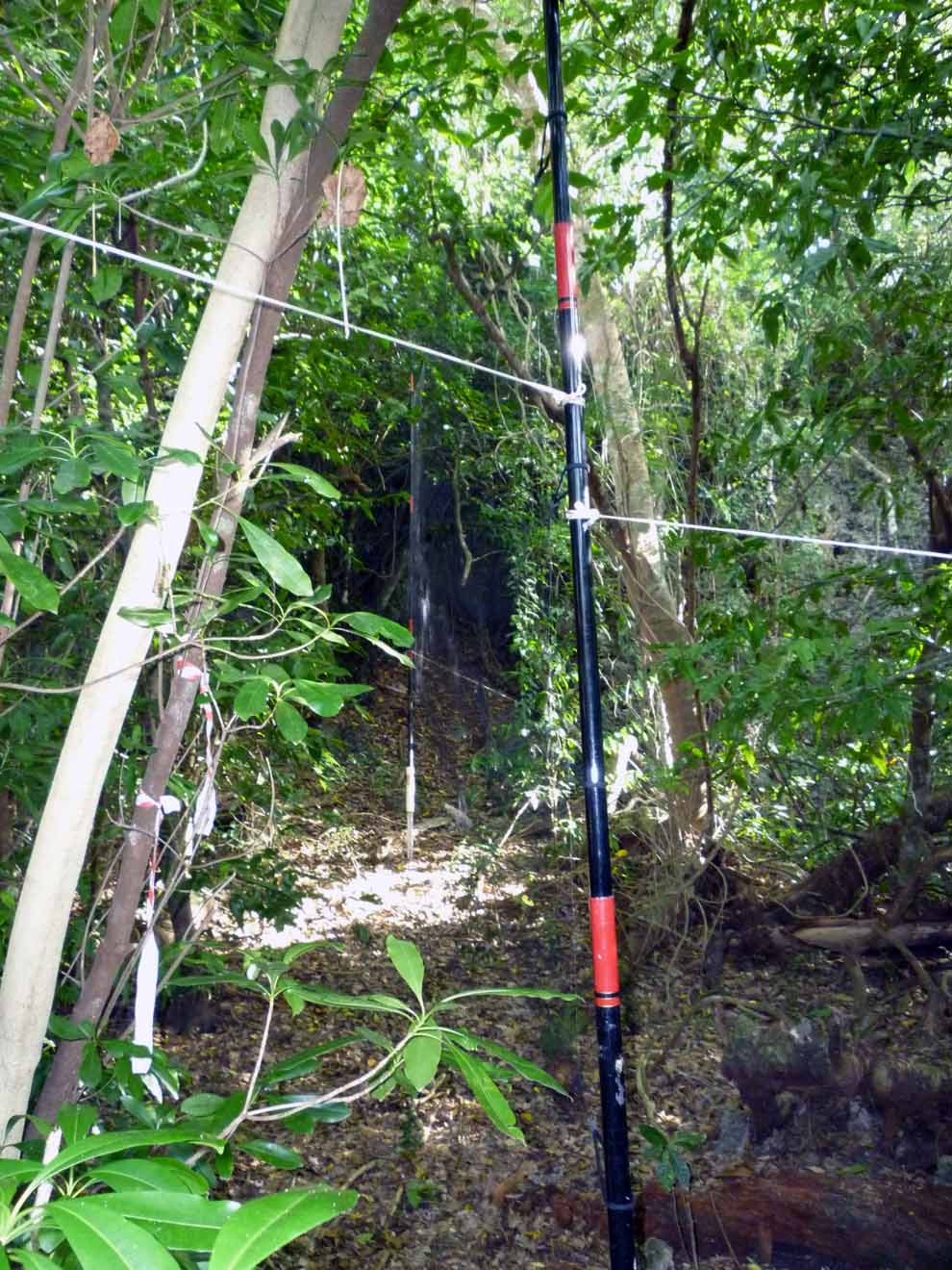 Our Family's Journey (Beyond Sound Finances): Travel to Tinian - A ...