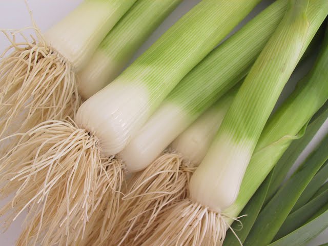 Las plantas y sus usos: Puerro